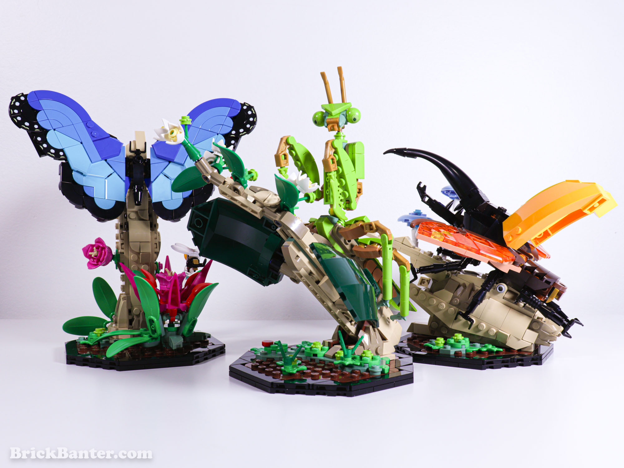 Review: LEGO Ideas - The Insect Collection - 21342