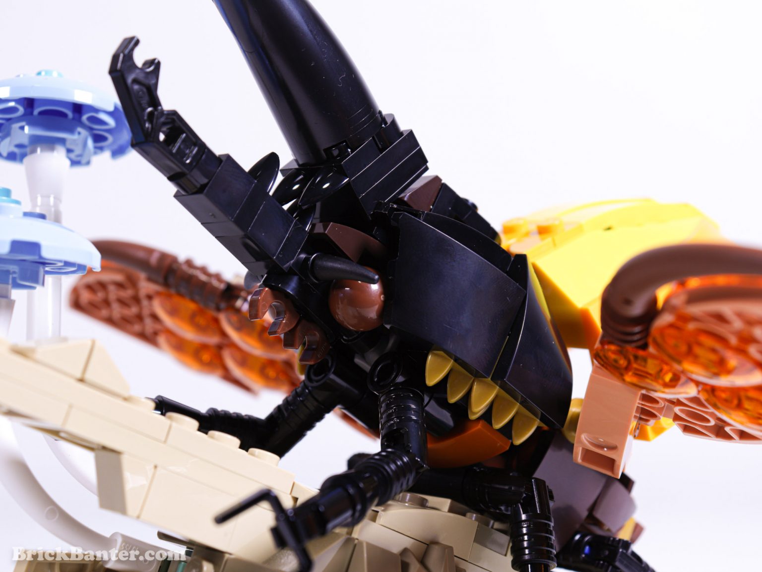 Review: LEGO Ideas - The Insect Collection - 21342