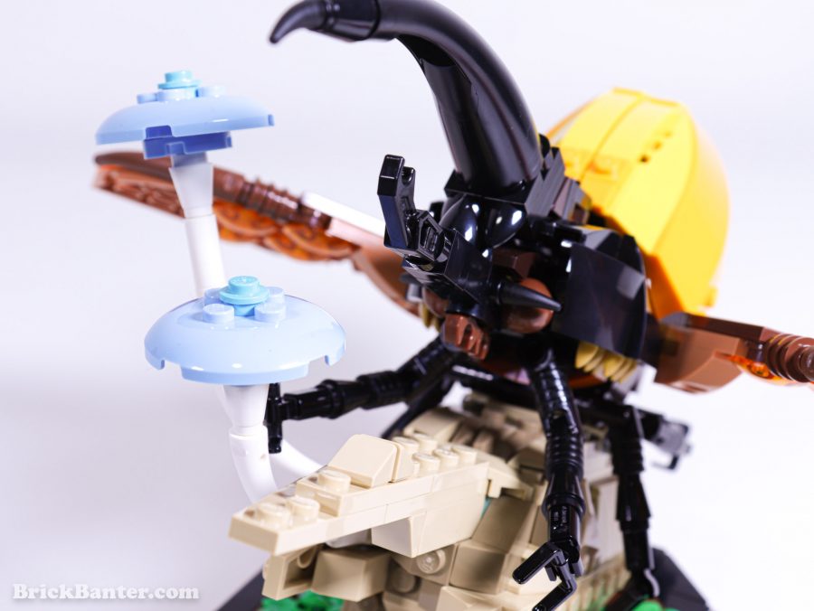 Review: LEGO Ideas - The Insect Collection - 21342