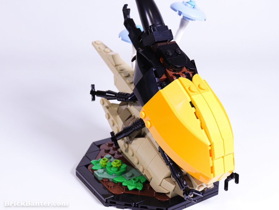 Review: LEGO Ideas - The Insect Collection - 21342