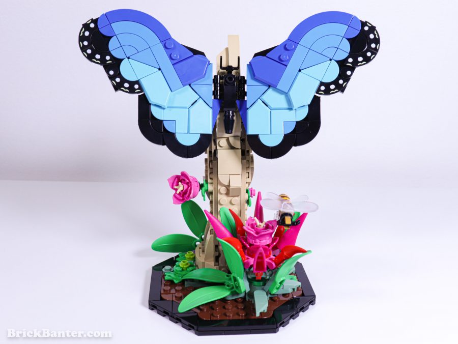 Review: LEGO Ideas - The Insect Collection - 21342