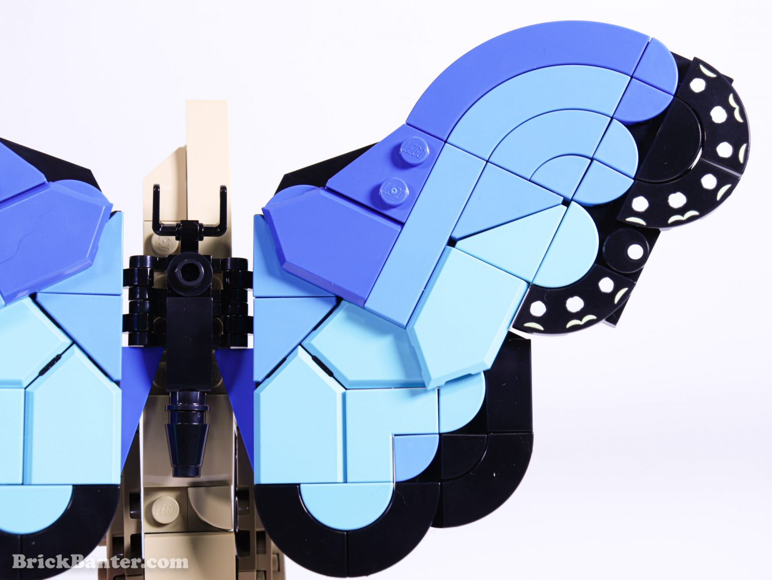 Review: LEGO Ideas - The Insect Collection - 21342