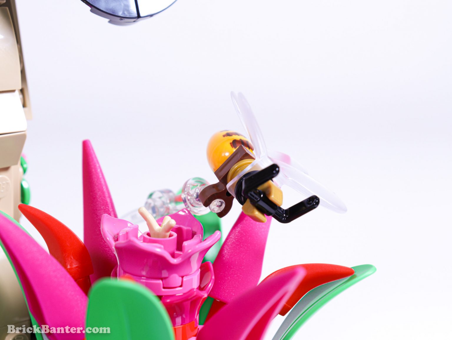 Review: LEGO Ideas - The Insect Collection - 21342