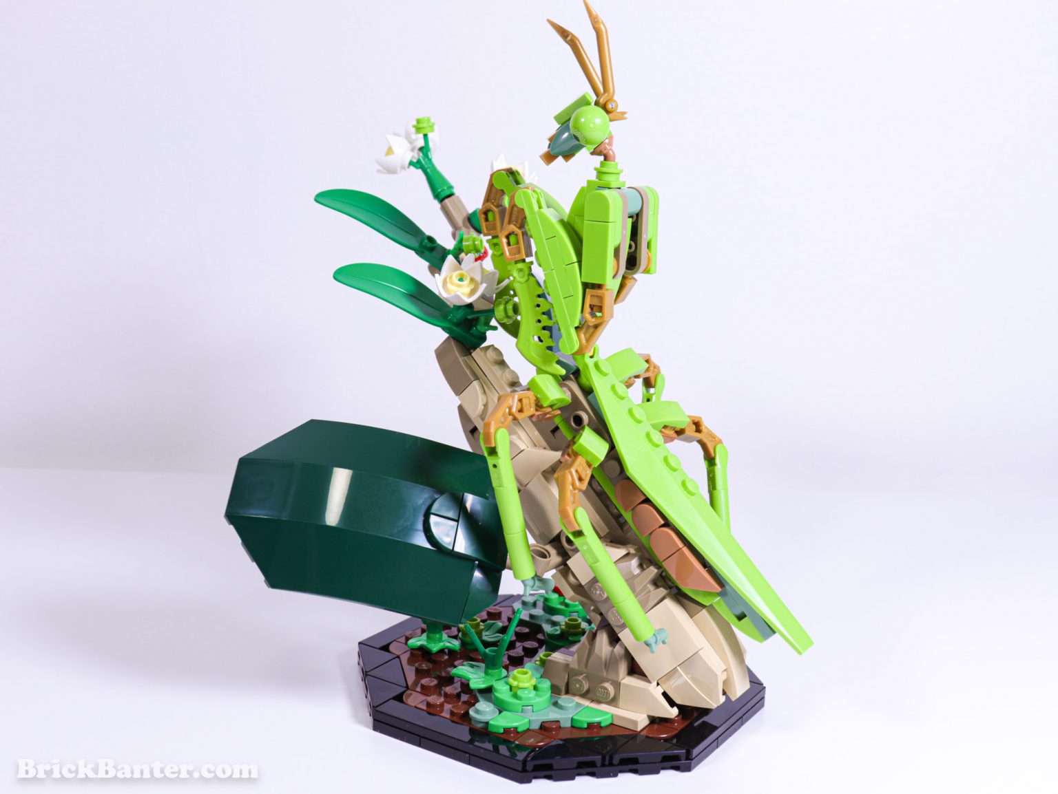 Review: LEGO Ideas - The Insect Collection - 21342