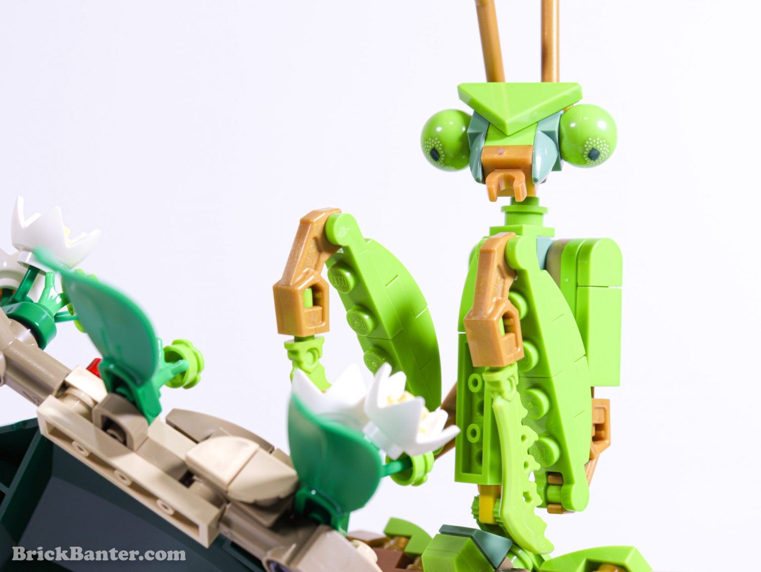 Review: LEGO Ideas - The Insect Collection - 21342