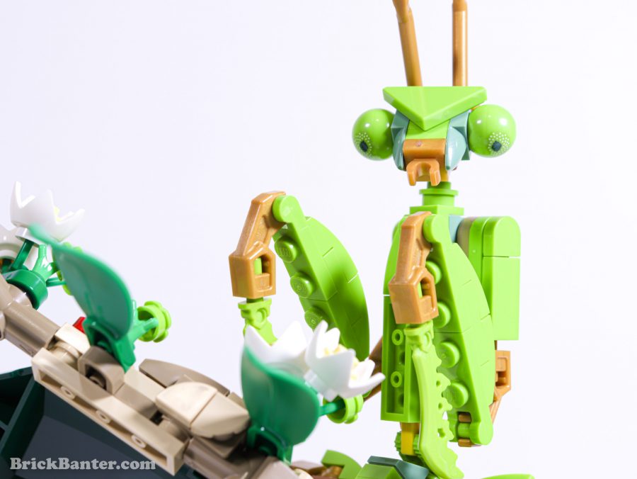 Review: LEGO Ideas - The Insect Collection - 21342