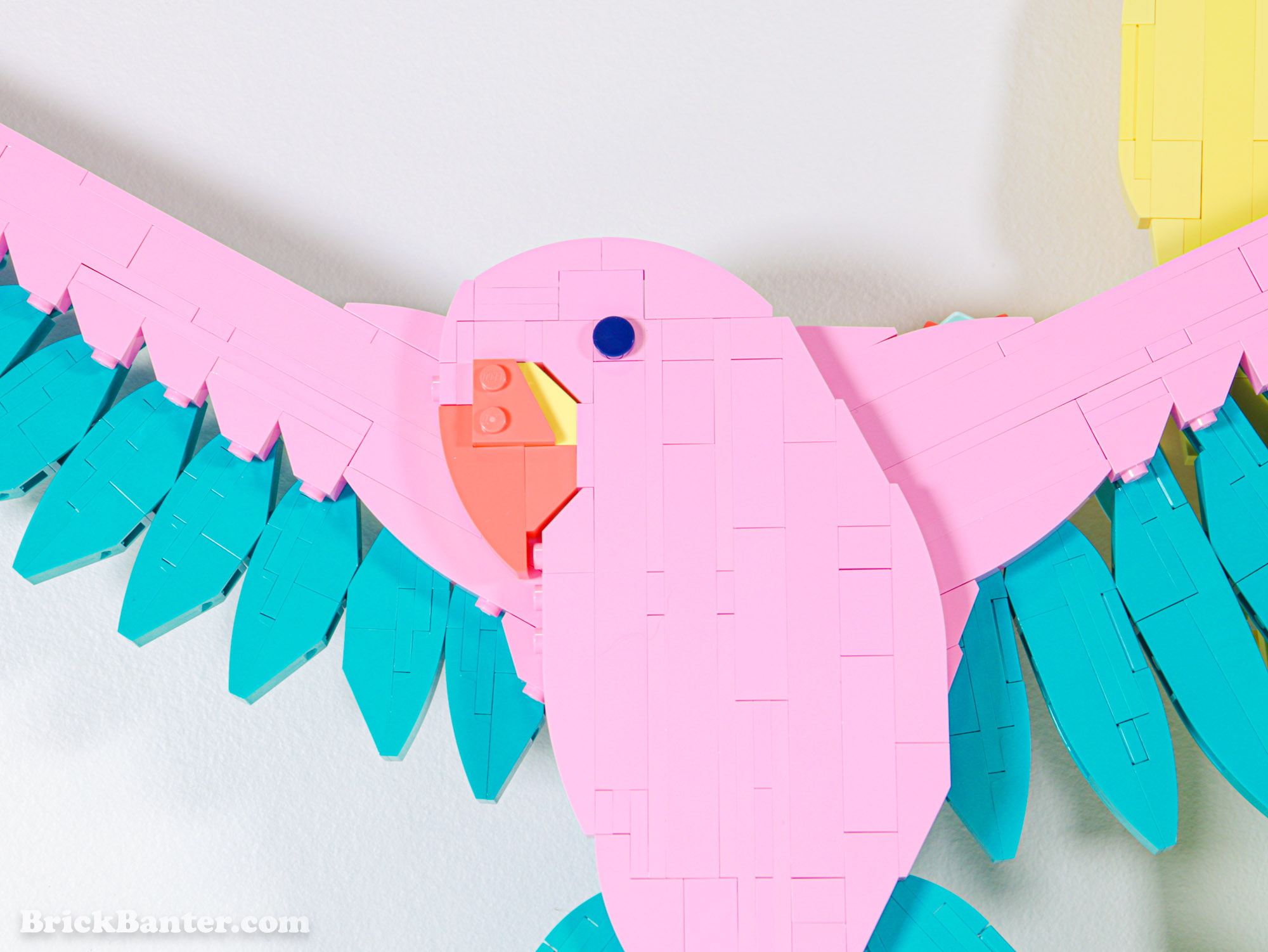 Review: LEGO Art Macaw Parrots 31211