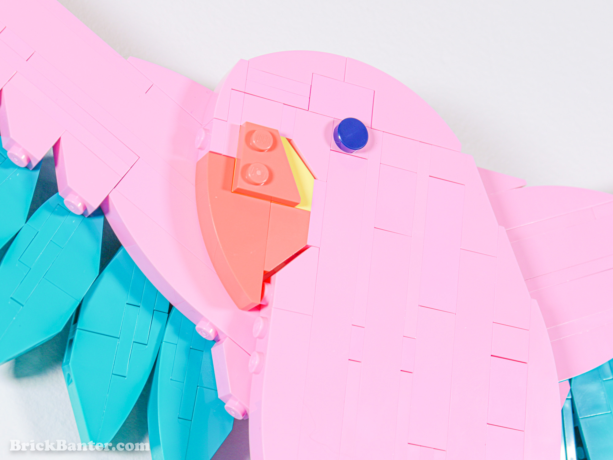 Review: LEGO Art Macaw Parrots 31211