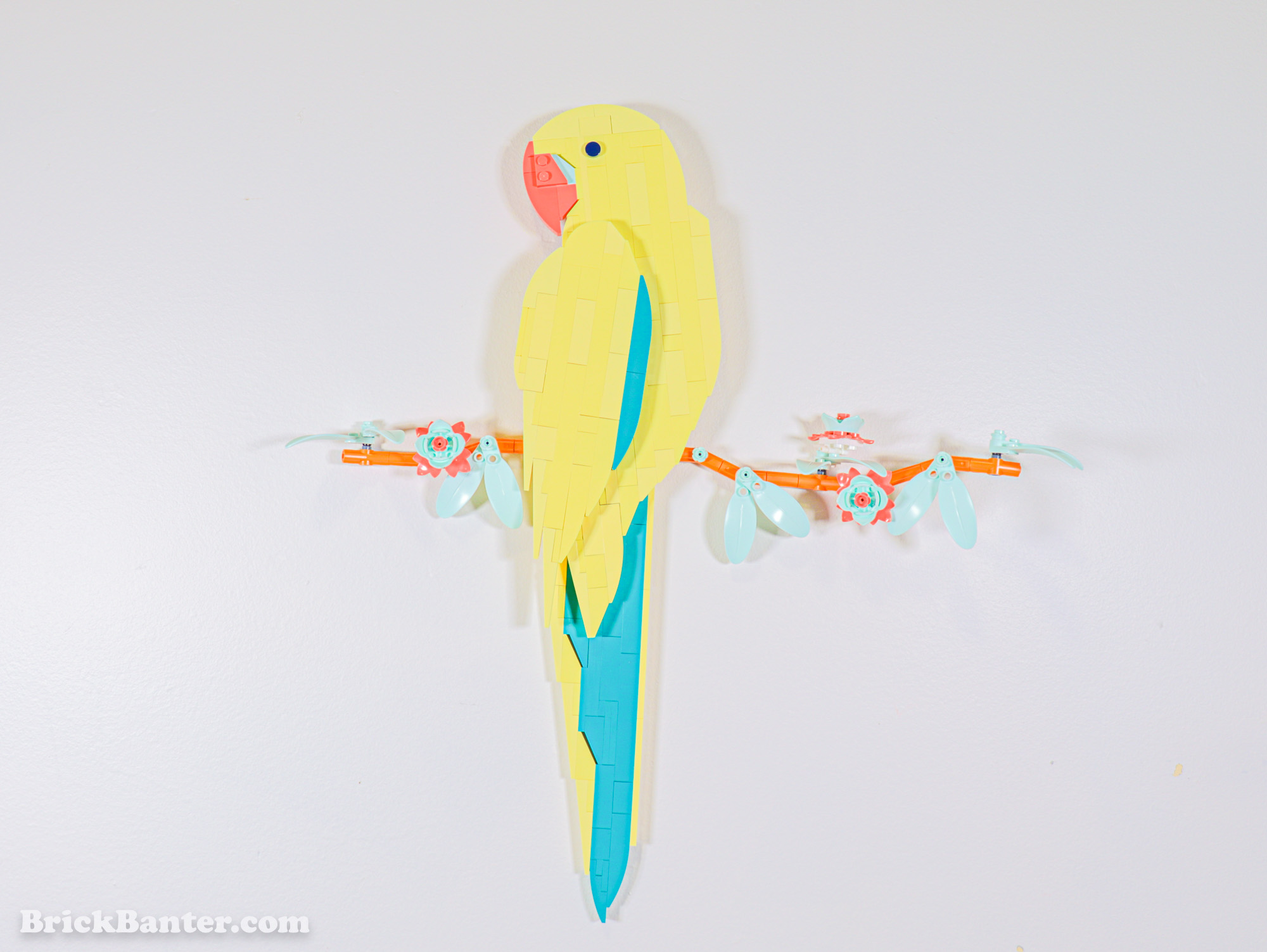 Review: LEGO Art Macaw Parrots 31211