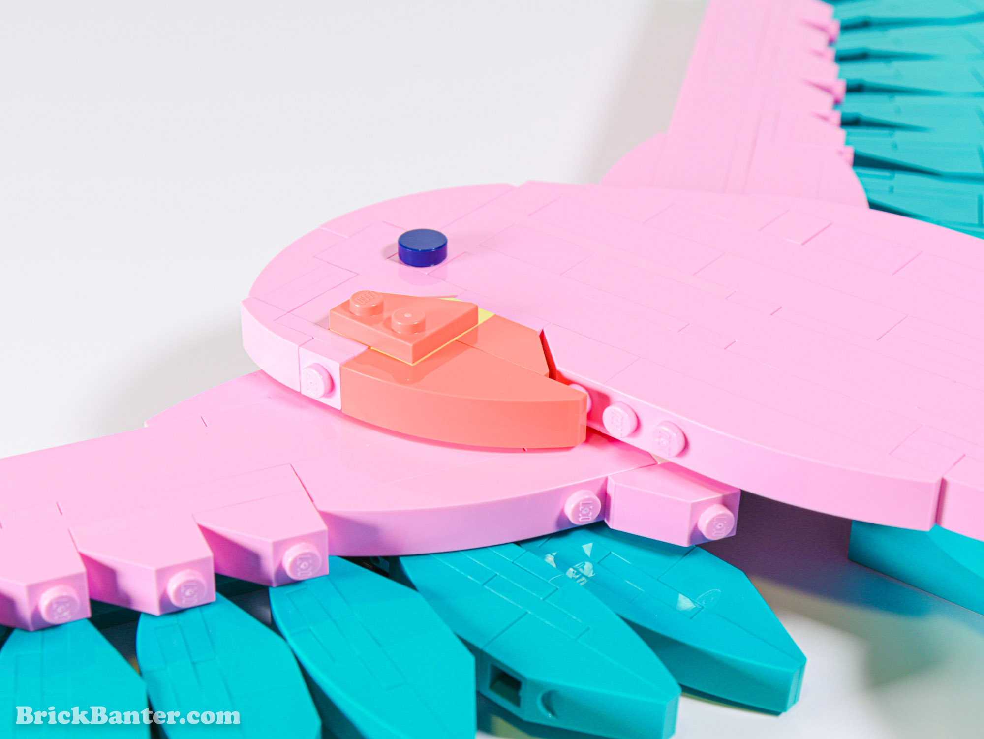 Review: LEGO Art Macaw Parrots 31211